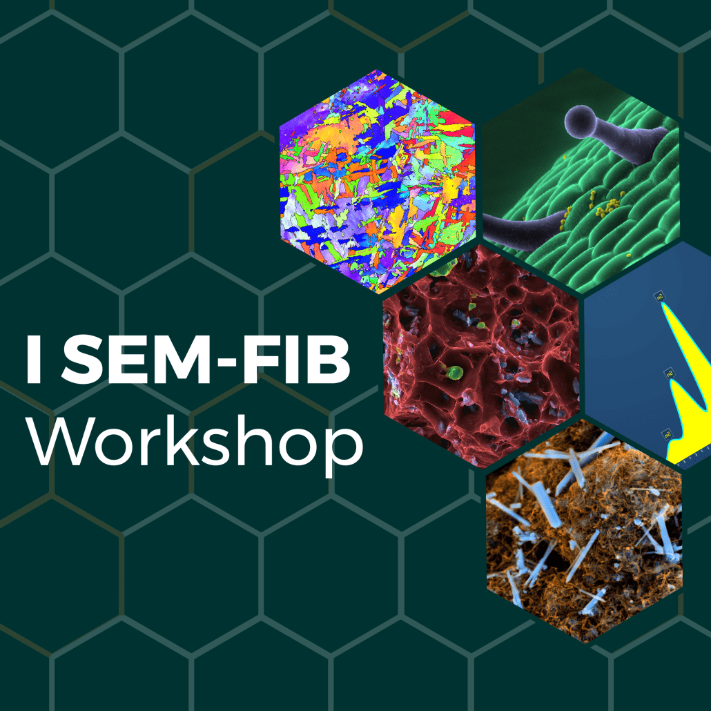 I SEM-FIB Workshop - CNPEM