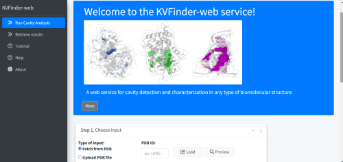 KVFinder-web: a ferramenta de identificar e caracterizar a superfície de moléculas - CNPEM