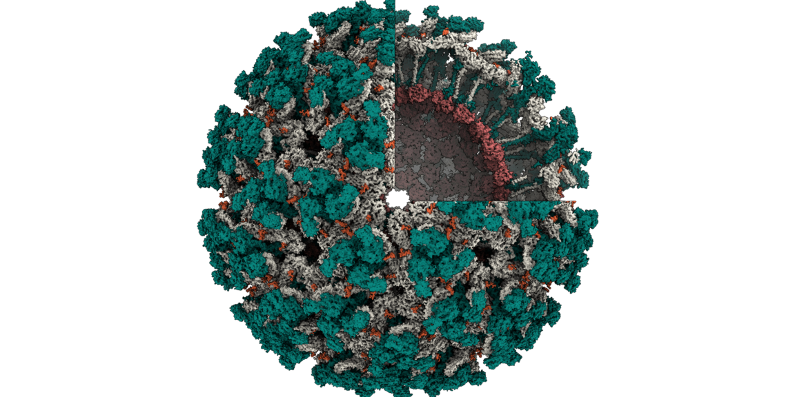 Project Orion - CNPEM